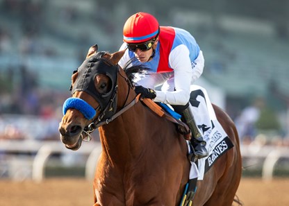 Barnes - Horse Profile - BloodHorse