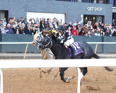 Speed King - Horse Profile - BloodHorse