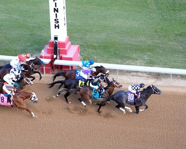 Speed King - Horse Profile - BloodHorse