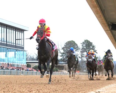 Coal Battle - Horse Profile - BloodHorse