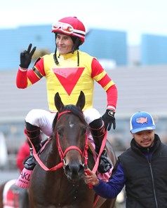 Coal Battle - Horse Profile - BloodHorse