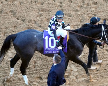 Speed King - Horse Profile - BloodHorse
