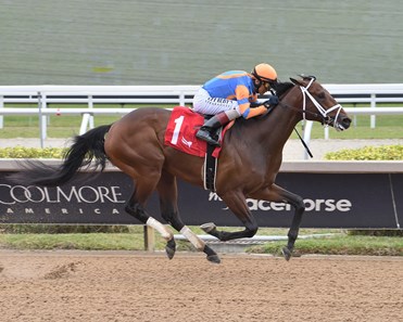 Grande - Horse Profile - BloodHorse