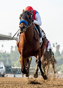 Barnes - Horse Profile - BloodHorse