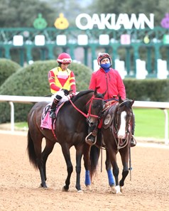 Coal Battle - Horse Profile - BloodHorse