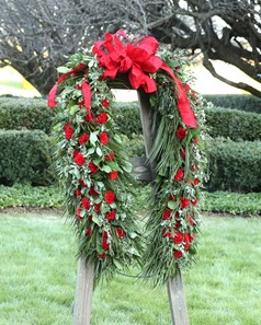 Coal Battle - Horse Profile - BloodHorse