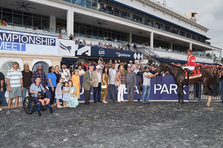 Burnham Square - Horse Profile - BloodHorse