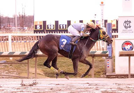 Regaled - Horse Profile - BloodHorse