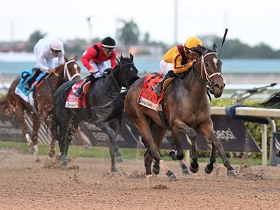 Equibase | Horse Racing | Horse Racing Entries | Horse Racing Results ...