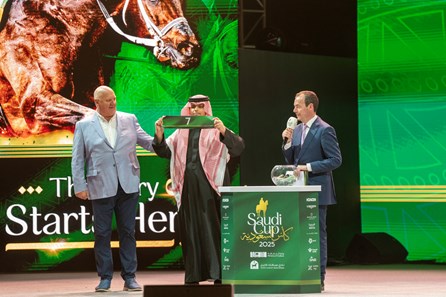 Rattle N Roll - Horse Profile - BloodHorse