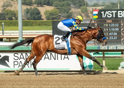 Citizen Bull - Horse Profile - BloodHorse