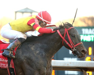 Coal Battle - Horse Profile - BloodHorse