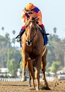 Kopion - Horse Profile - BloodHorse