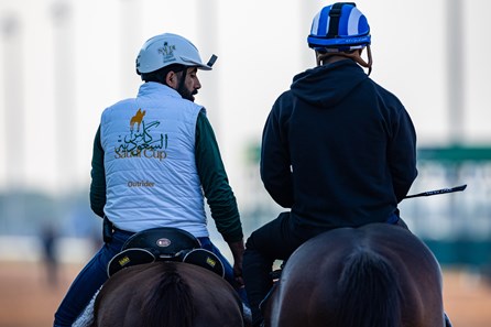 Howard Wolowitz - Horse Profile - BloodHorse