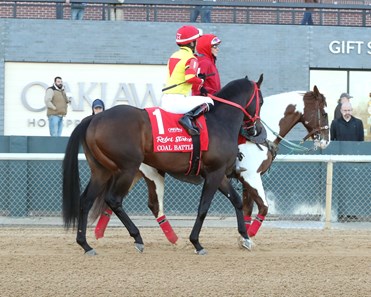 Coal Battle - Horse Profile - BloodHorse