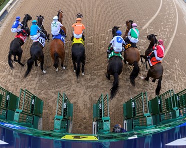 Burnham Square - Horse Profile - BloodHorse
