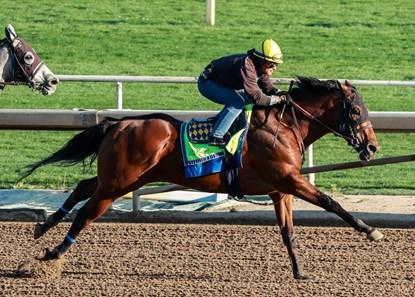Barnes - Horse Profile - BloodHorse