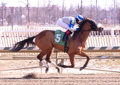 Late Nite Call - Horse Profile - BloodHorse