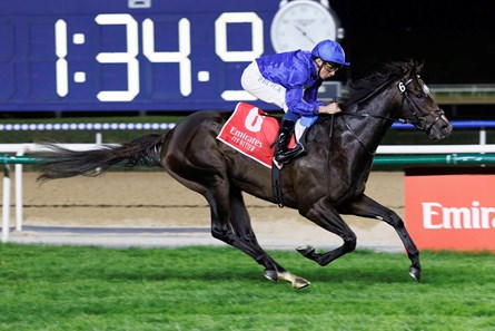 Ruling Court - Horse Profile - BloodHorse