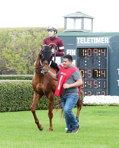 Red Route One - Horse Profile - BloodHorse
