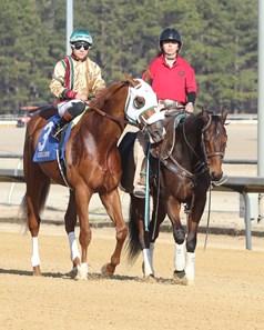 American Promise - Horse Profile - BloodHorse