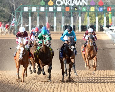 Red Route One - Horse Profile - BloodHorse