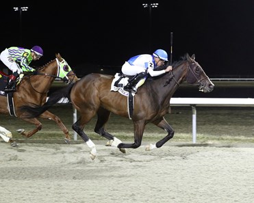 Big Blue Line - Horse Profile - BloodHorse