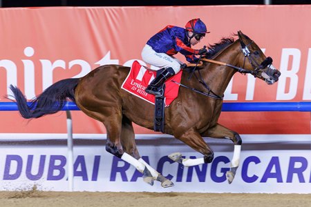 Super Saturday Tees Up Dubai World Cup Night Showdowns - BloodHorse