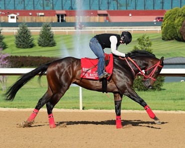 Coal Battle - Horse Profile - BloodHorse