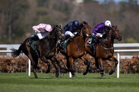 Henri Matisse (IRE) - Horse Profile - BloodHorse