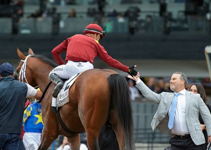 Journalism - Horse Profile - BloodHorse