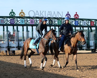 Runnin N Gunnin - Horse Profile - BloodHorse