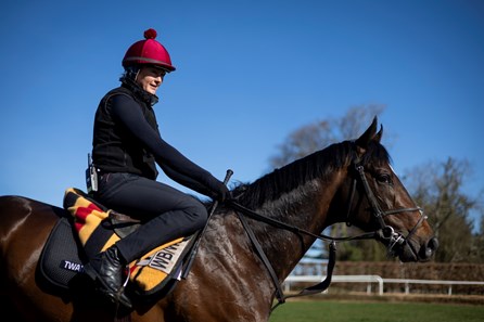 Twain (IRE) - Horse Profile - BloodHorse