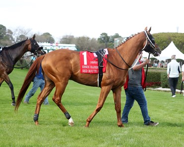 Red Route One - Horse Profile - BloodHorse