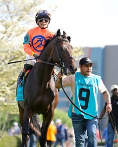 Honor Marie - Horse Profile - BloodHorse