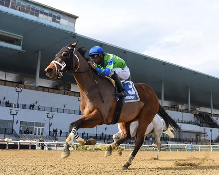 Full Moon Madness, Drexel Hill Capture Aqueduct Stakes - TrueNicks.com