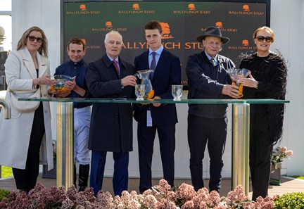 Henri Matisse (IRE) - Horse Profile - BloodHorse