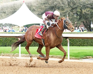 Red Route One - Horse Profile - BloodHorse