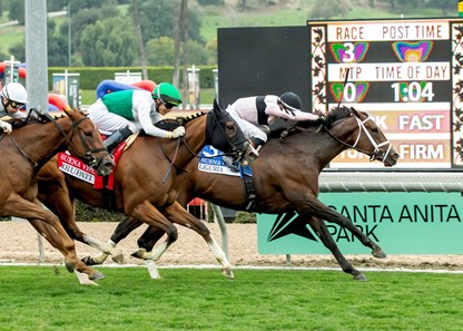 Liguria - Horse Profile - BloodHorse
