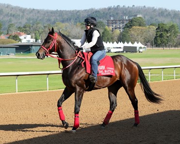 Coal Battle - Horse Profile - BloodHorse
