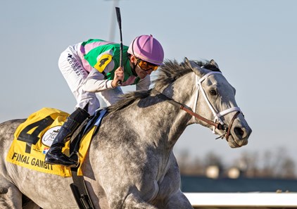 Final Gambit - Horse Profile - BloodHorse