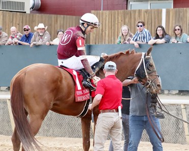 Red Route One - Horse Profile - BloodHorse