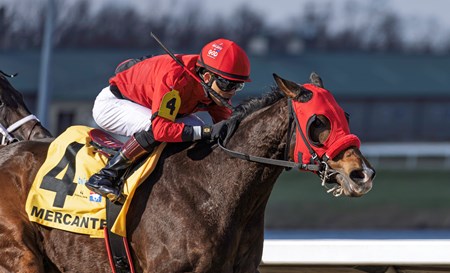 Mercante - Horse Profile - BloodHorse