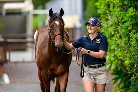 Magic Millions Unveils Gold Coast Yearling Sale Catalog - TrueNicks.com