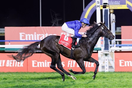 Ruling Court - Horse Profile - BloodHorse