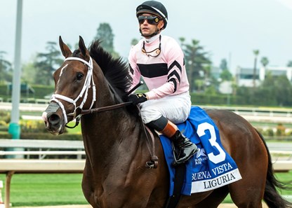 Liguria - Horse Profile - BloodHorse