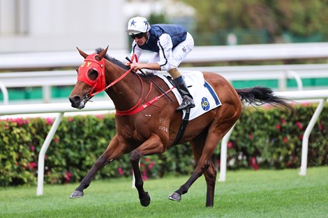 Ka Ying Rising Scores 11th Straight Win in Hong Kong - BloodHorse