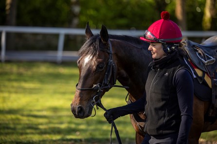 Twain (IRE) - Horse Profile - BloodHorse