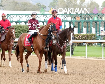 Red Route One - Horse Profile - BloodHorse