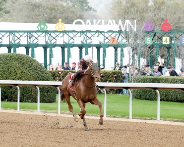 Red Route One - Horse Profile - BloodHorse